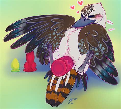 Rule 34 Absurd Res Ambiguous Gender Animal Genitalia Avian Bird
