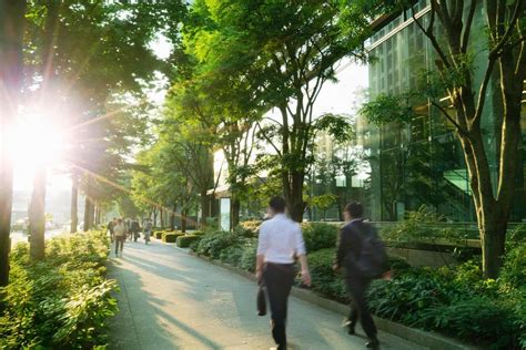 Esg Sustainability Initiatives And Financial Reporting