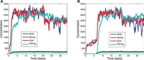 Demonstration Of Inducibility Two Examples Of Stochastic Simulations