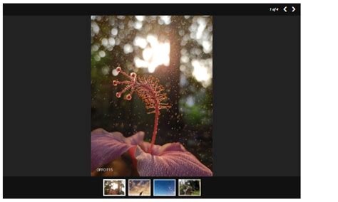 Oppo F Is A Mesmerising Blend Of Style Performance And Camera Oppo India