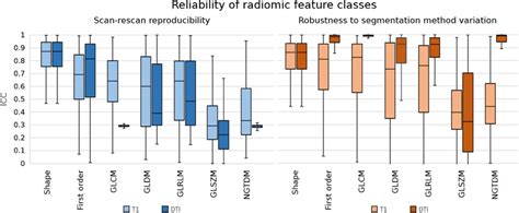 Reproducibility And Robustness For Each Class Of Radiomic Features For