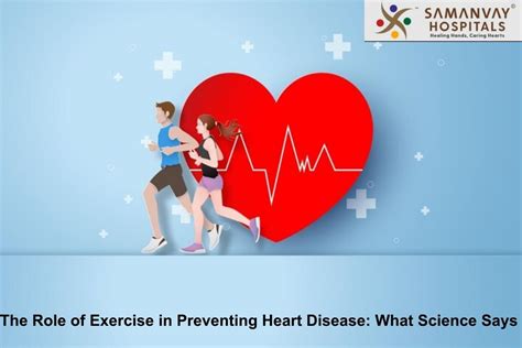 The Role Of Exercise In Heart Disease Prevention Explained
