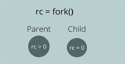 What Is Fork System Call And How To Fork Using Python