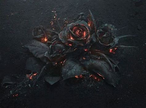 Burning Rose Burning Rose Art Cover Art