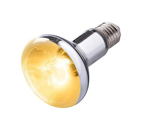 I Tested The Benefits Of UVA UVB Light For My Turtles Here S What