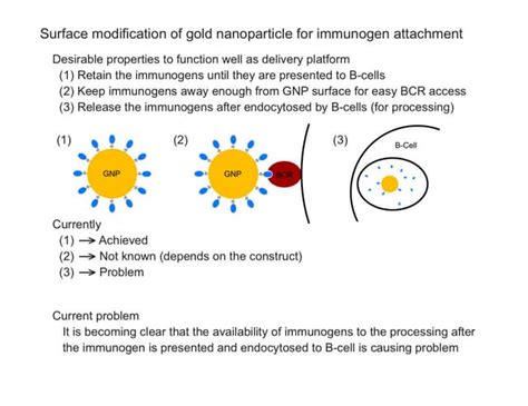 Payload Attachment Chemistry And Payload Design Ppt