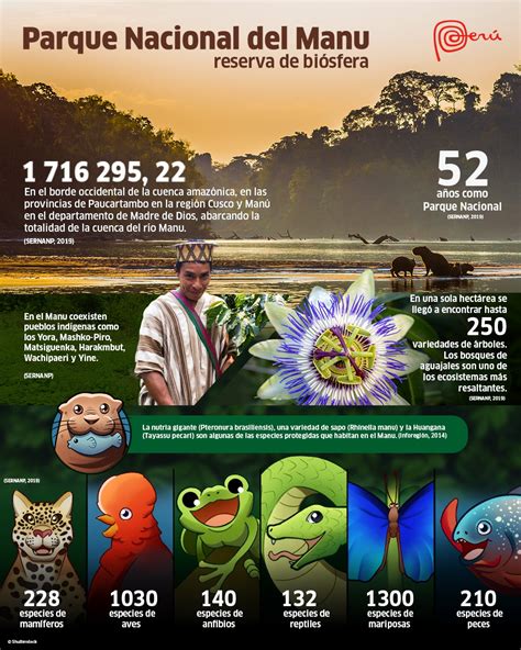 Parque Nacional Del Manu Un Paraíso Natural Que Debes Conocer