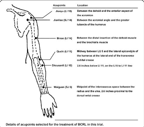 Overview Of Selected Acupoints In This Trial Participants Will Receive