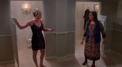 Raj And Howardbernadette Plot