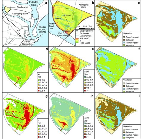 Effect Of Flow Attenuation Due To Vegetation And Infrastructure On A Download Scientific