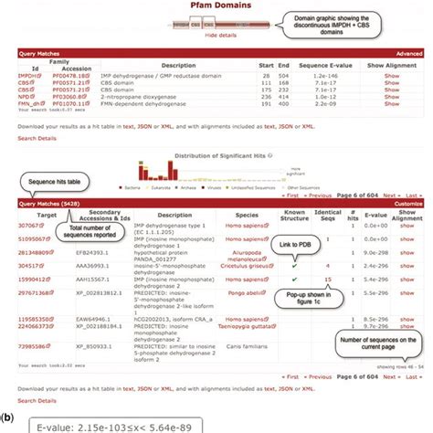 a comparison of hmmer and blast programs for protein sequence analysis