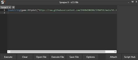 I Bought Synapse Sex Rrobloxhackers