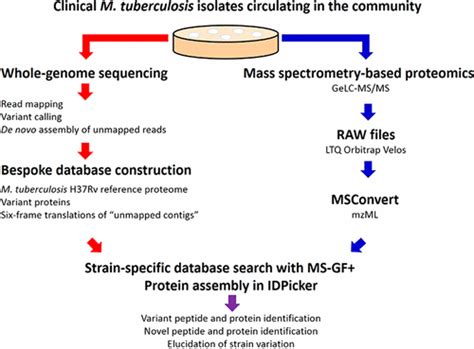 结核分枝杆菌 临床分离株菌株变异的蛋白质组学研究。 Journal Of Proteome Research X Mol
