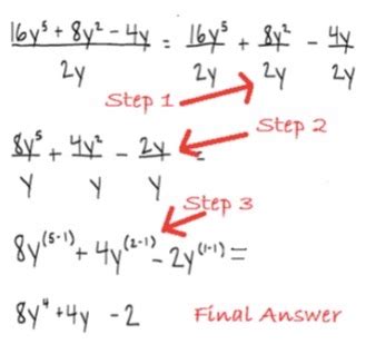Dividing A Polynomial By Monomials Binomials Steps Examples Study Com