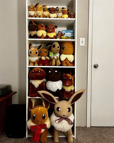 My Eevee Collection R Pokeplush