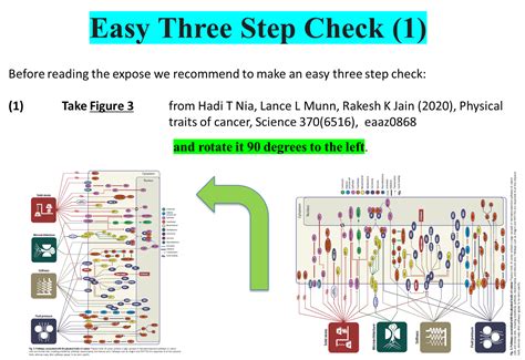 Cancer And The Somatic Mutation Theory If Riding On Horses Does Not
