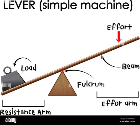 Lever Facts For Ks2 At Marsha Shain Blog