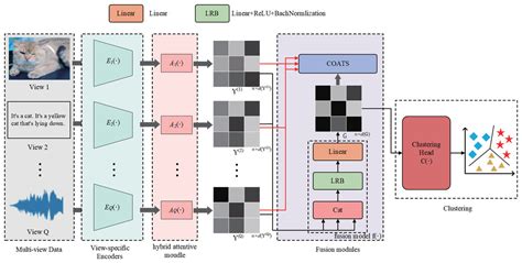 Amcfcn Attentive Multi View Contrastive Fusion Clustering Net [peerj]