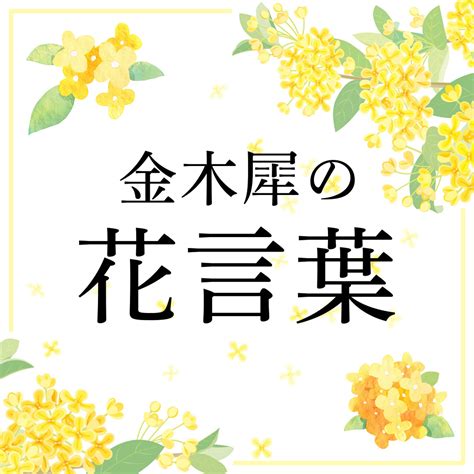 【美容花】金木犀の花言葉