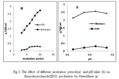 Production Of Exopolysaccharide From Local Fungal Isolate