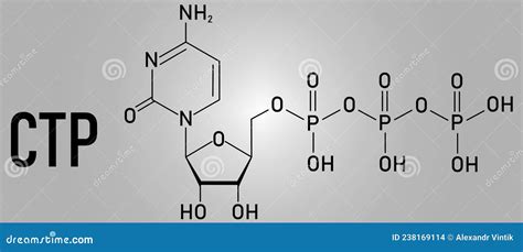 Cytidine Triphosphate Ctp Rna Building Block Molecule Also Functions As Cofactor To Some