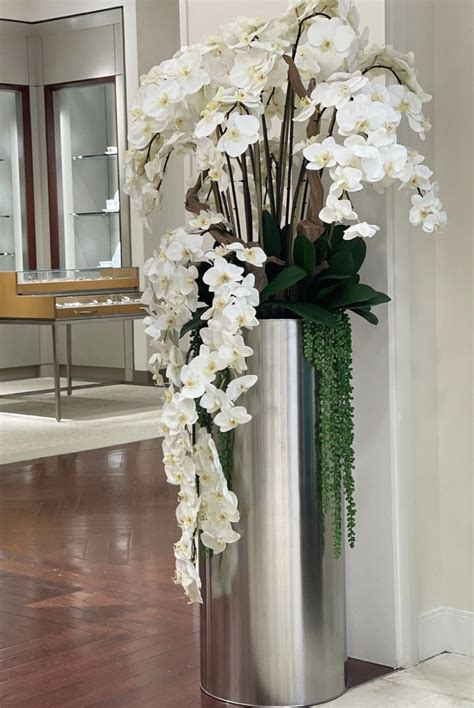 Best Modern Plants At Sandra Hendrickson Blog