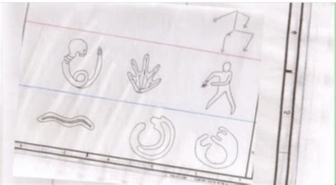 Metacognitive Tool Wudong Neigong Taiji Quan