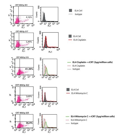 Human Calr Calreticulin Protein Recombinant His Aa 18 417 Lsbio