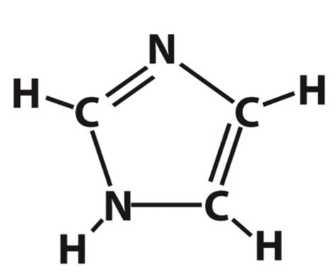 LearningCurve Chapter Flashcards Quizlet