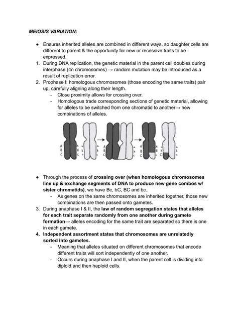 Module 6 Notes Biology Year 12 Hsc Thinkswap