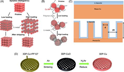A Illustration Of The Li Plating And Stripping Process On The Dicu Download Scientific