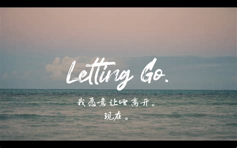 自用sub 书写一个菲茨杰拉德式的开始 Letting Go Now 哔哩哔哩