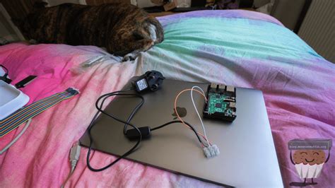 Building A Custom Ambilight System For Any Input With A Raspberry Pi