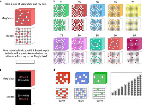 Stimuli Used In Behavioural Tasks A Screenshot Of How Test Questions