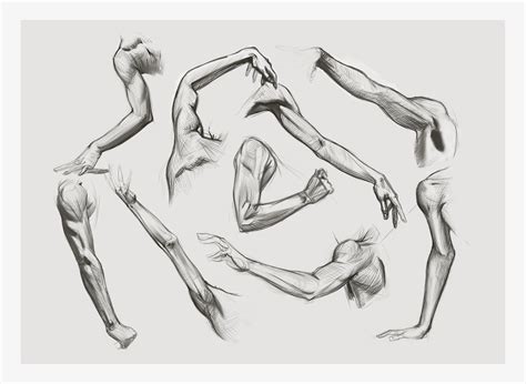 Human Arm Sketch