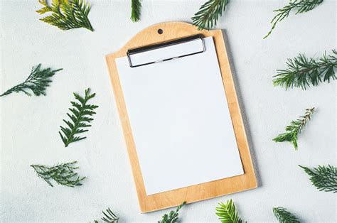 흰색 콘크리트 바탕에 침 엽 수 식물의 지점 종묘장 또는 조 경의 개념 0명에 대한 스톡 사진 및 기타 이미지 0명 가든파티 개념 Istock