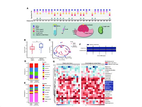 Microbiome Analysis Between Tumor And Normal Adjacent Tissues A Download Scientific Diagram