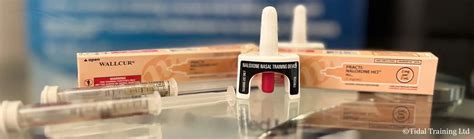 Addressing The Rise Of Synthetic Opioids Tidal Training