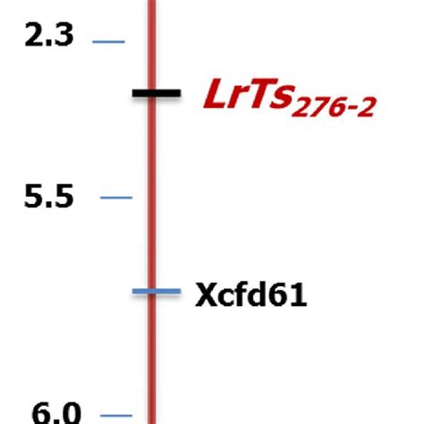 Axiom Array Snp Genotyping Data Showing Polymorphic Snps Between Download Scientific Diagram