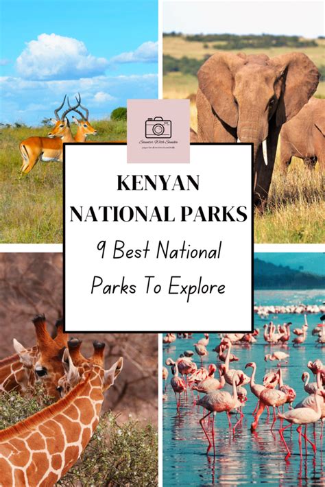 The Best National Parks In Kenya Saunter With Sanika