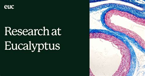 Nurse Practitioner Vs Gp Telehealth Error Rate Comparison Eucalyptus