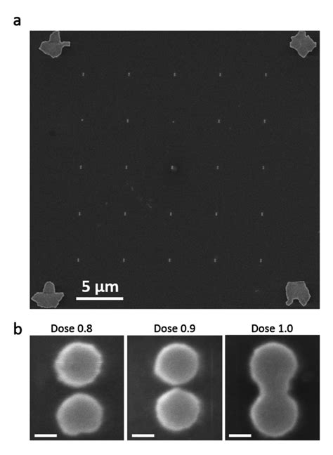 figure s1 a sem image of an array of silicon dimer antennas with