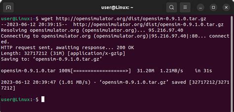 How To Install OpenSim On Ubuntu Linux Genie
