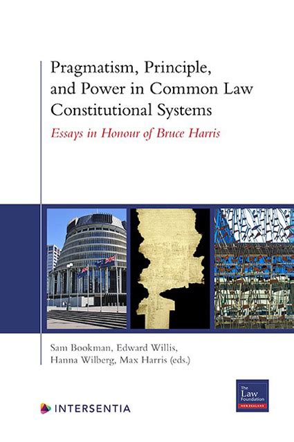 Pragmatism Principle And Power In Common Law Constitutional Systems