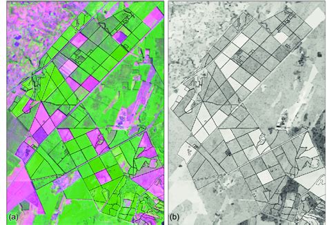 Graphical Illustration Of The Remotely Sensed Data For Selected Stands
