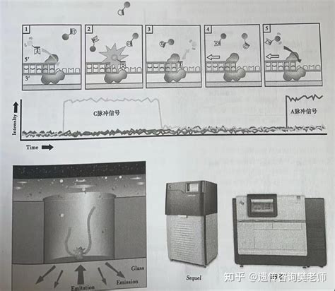 【测序技术篇】一代测序、二代测序、三代测序 知乎