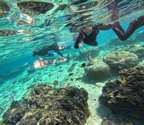 しろさき一家の旅行記ブログは、家族で旅行におすすめの国内の子連れ旅行の体験談を中心に写真付きで掲載しています。 しろさき一家の旅行記ブログ家族で旅行におすすめ！国内の子連れ旅行なら