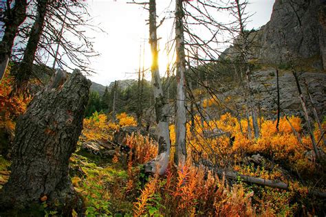 Pamje E Natyrës Së Bukur Nga Bjeshka E Rugovës Në Pejë Foto G Dinaj