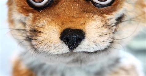my face when i reinstalled the os on one of my computers and managed to typo the password and