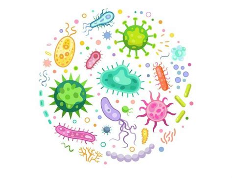 Model Activity Task Class 8 মডেল অ্যাক্টিভিটি টাস্ক Class 8 Prosnouttor